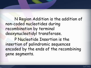 DNA insertion | PPT