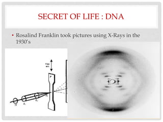 Introduction to DNA | PPTX