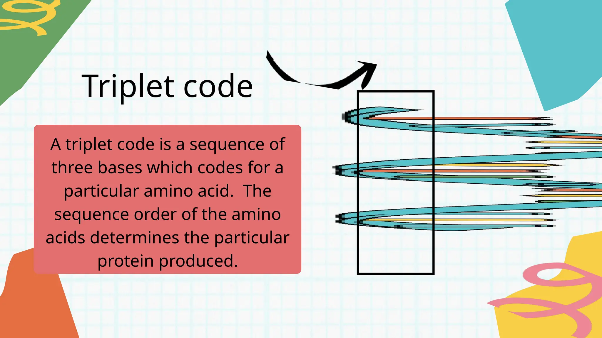 DNA Introduction and Central Dogma of biology | PPTX