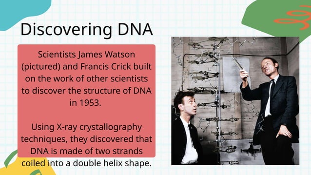 DNA Introduction and Central Dogma of biology | PPTX