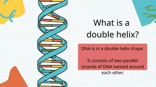 DNA Introduction and Central Dogma of biology | PPTX