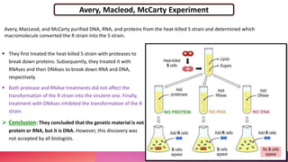 DNA IS GENETIC METERIAL.pptx | Biological Sciences | Science