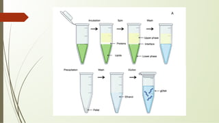 DNA Isolation in molecular biology in biotech | PDF
