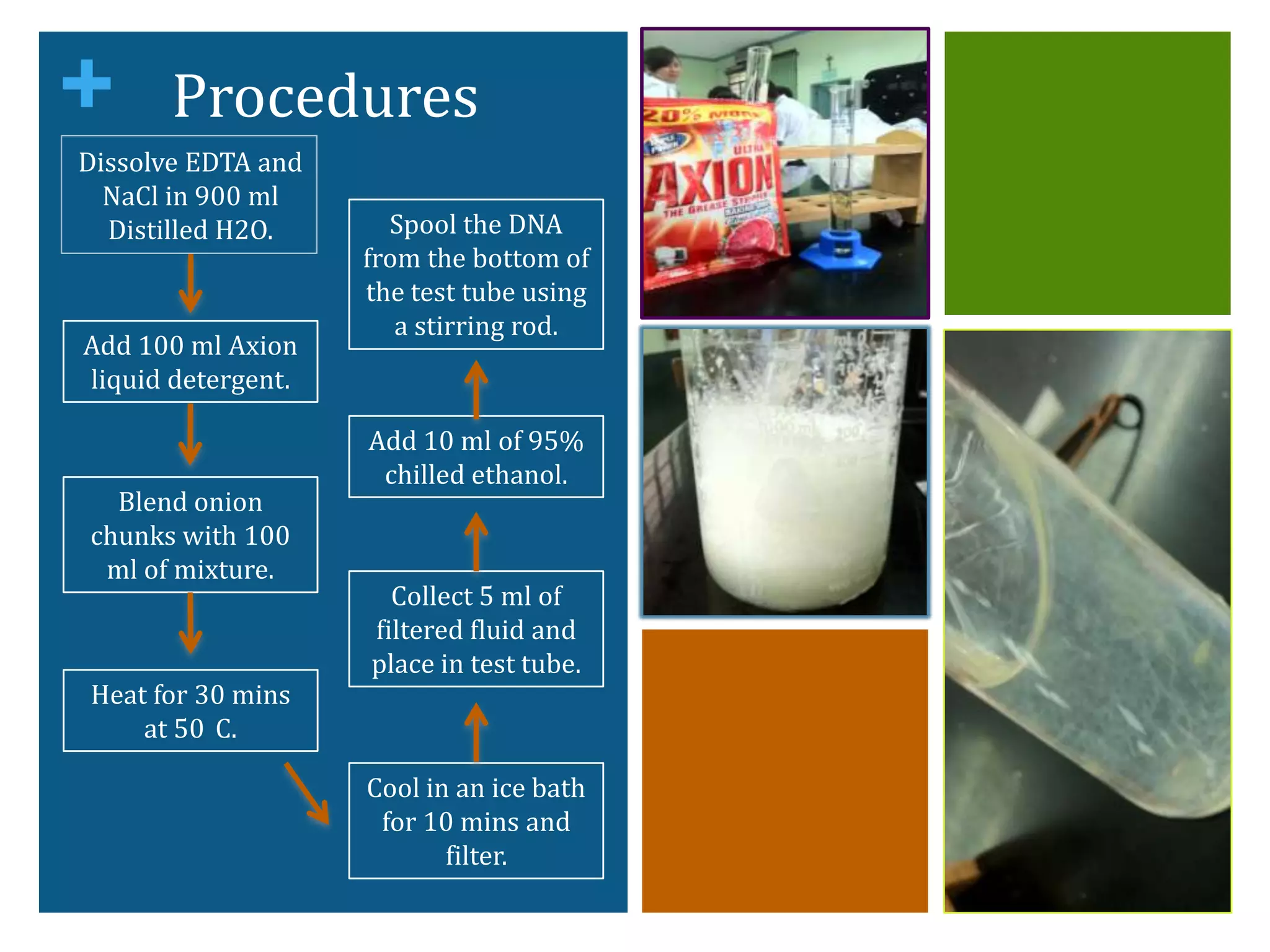 Dna isolation | PPTX