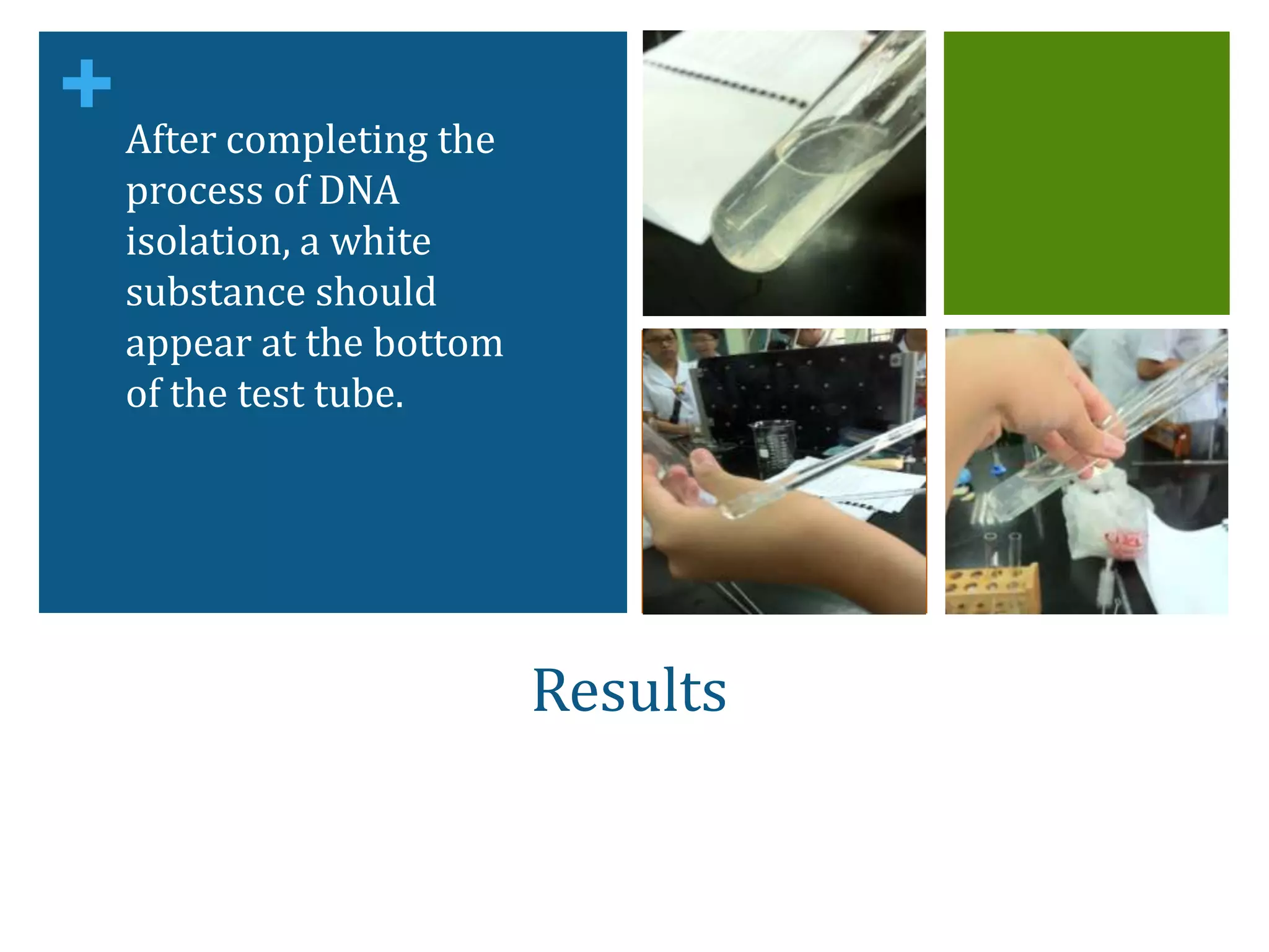 Dna isolation | PPTX