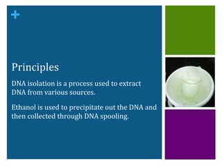 Dna isolation | PPTX