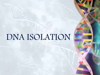 Dna isolation | PPTX