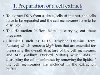 Dna isolation | PPTX