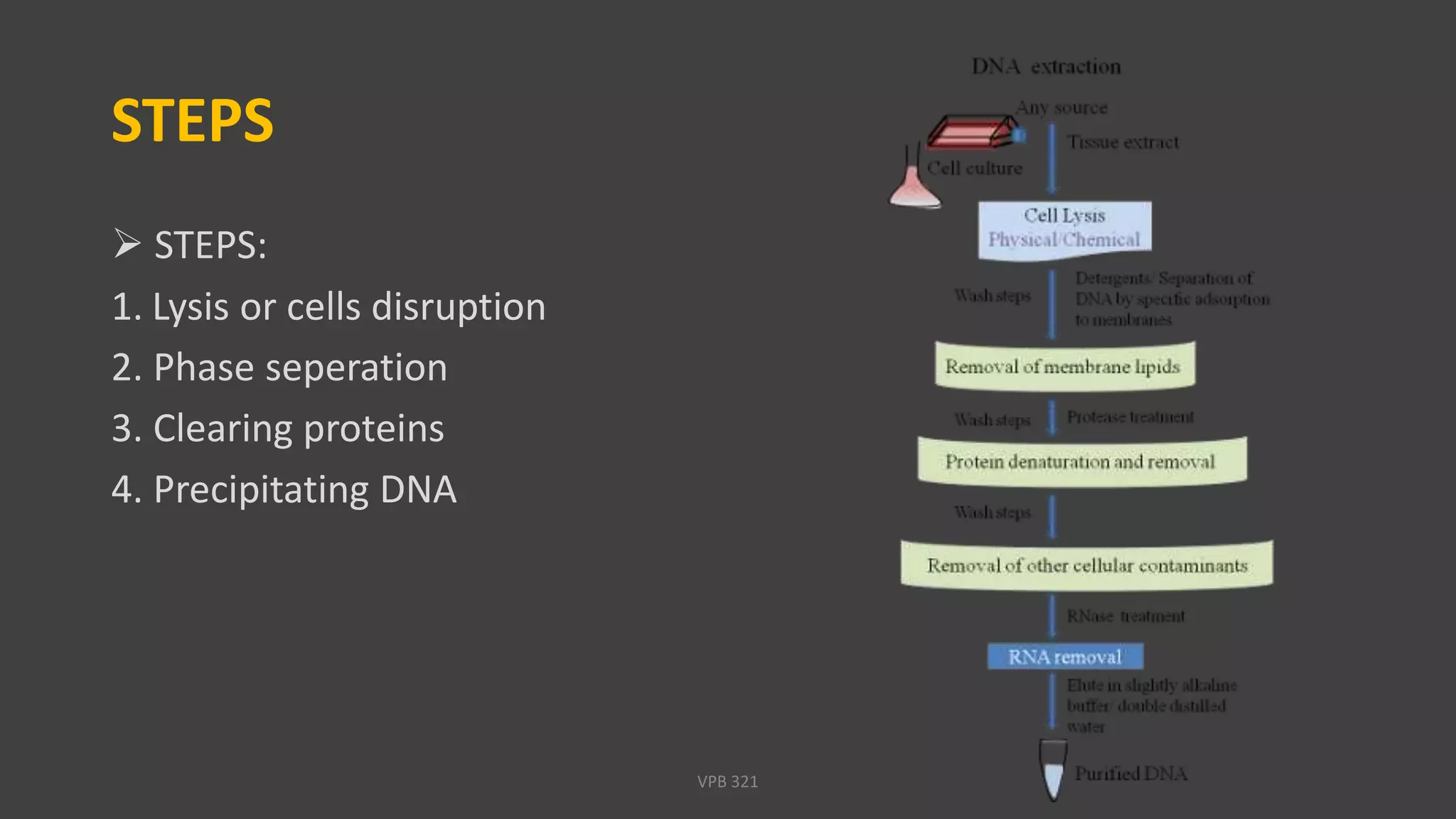 Dna isolation Principle | PPTX