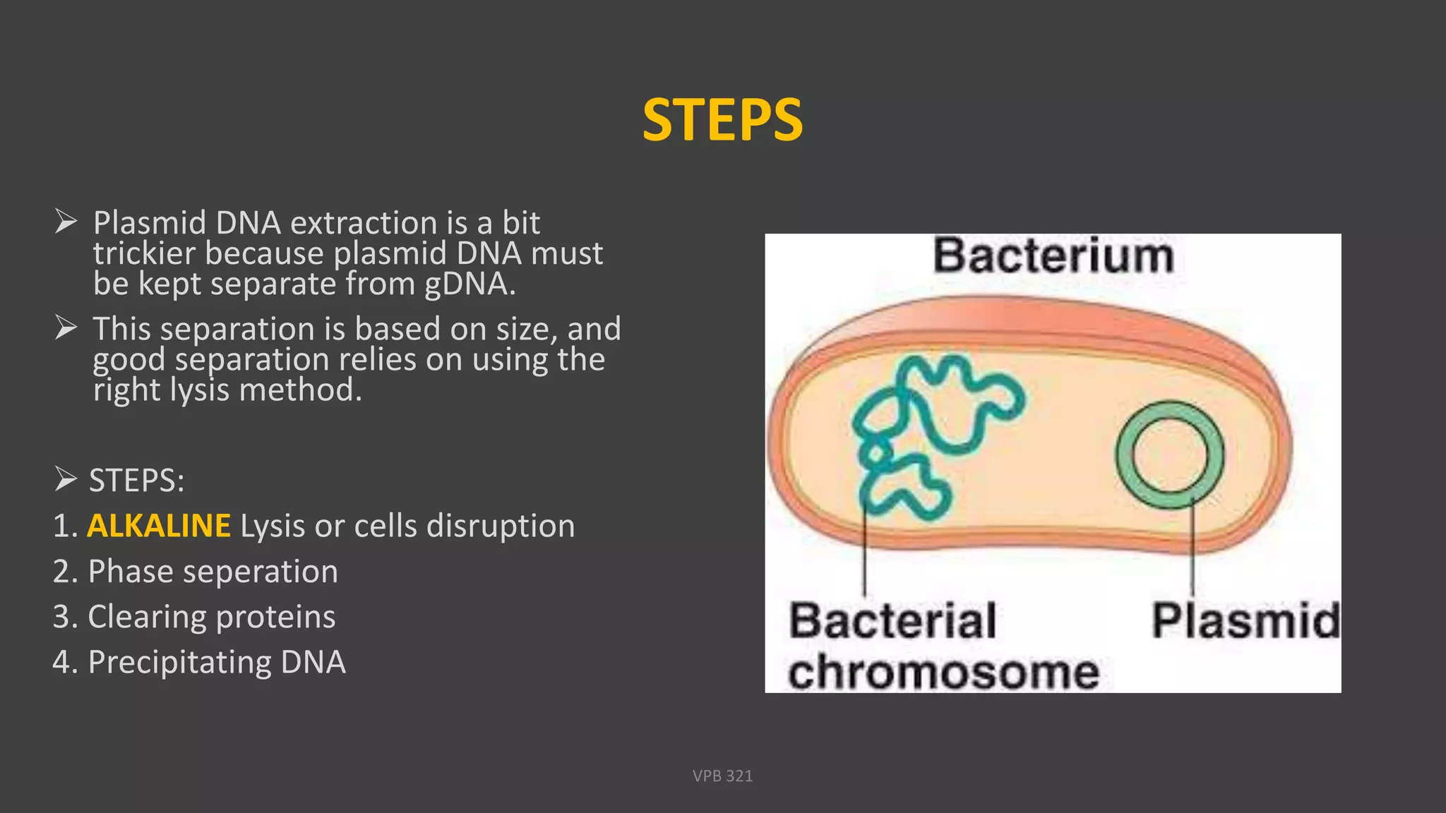 Dna isolation Principle | PPTX