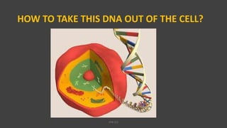 Dna isolation Principle | PPTX