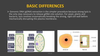 Dna isolation Principle | PPTX