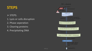 Dna isolation Principle | PPTX