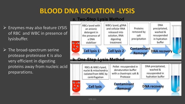 Dna isolation Principle | PPTX