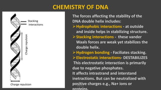 Dna isolation Principle | PPTX