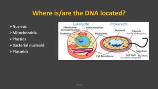Dna isolation Principle | PPTX
