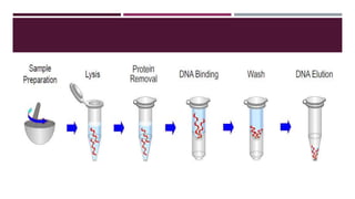 Dna isolation | PPTX