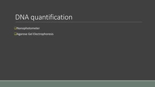 Isolation of plant genomic DNA | PPTX