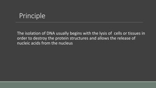 Isolation of plant genomic DNA | PPTX