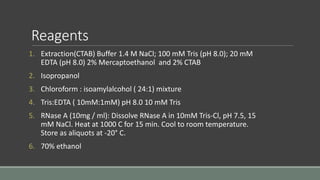 Isolation of plant genomic DNA | PPTX