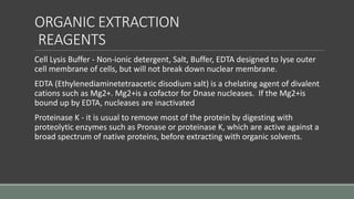 Isolation of plant genomic DNA | PPTX