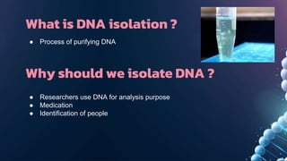 _DNA Isolation.pptx