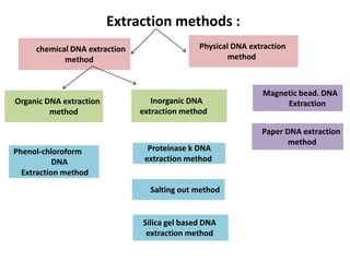 DNA isolation molecular biology practical.pptx