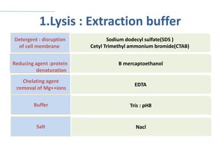 DNA isolation molecular biology practical.pptx