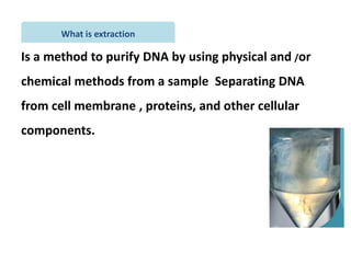 DNA isolation molecular biology practical.pptx