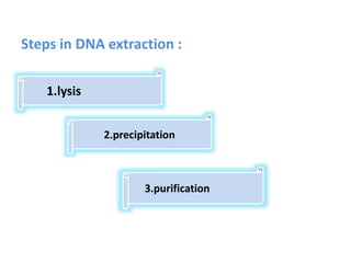 DNA isolation molecular biology practical.pptx