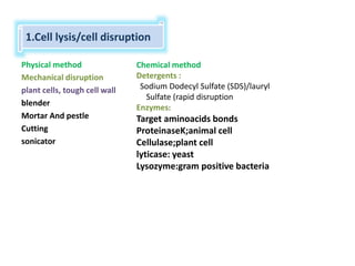 DNA isolation molecular biology practical.pptx