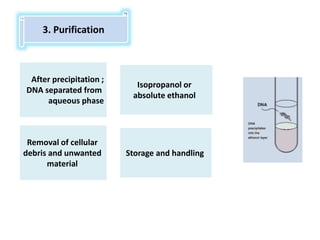 DNA isolation molecular biology practical.pptx