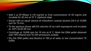 DNA isolation: procedure, buffers.......pptx