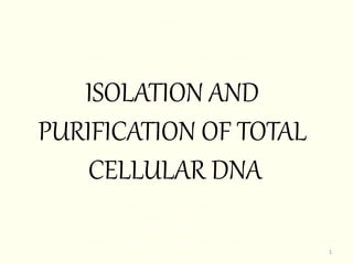 DNA ISOLATION and purification Basics and protocols | PPTX