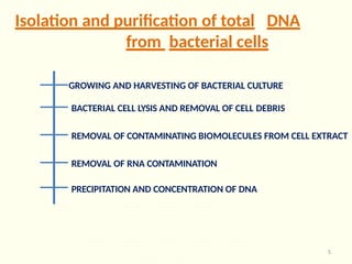 DNA ISOLATION and purification Basics and protocols | PPTX
