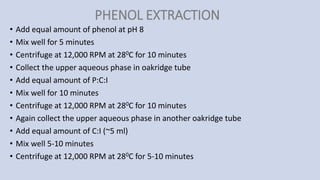 Genomic Dna Isolation From Blood, Bacteria and Plasmid DNA Isolation | PPTX