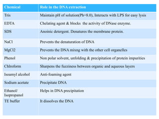 -DNA Isolation from blood.pptx Isolation from blood.pptx