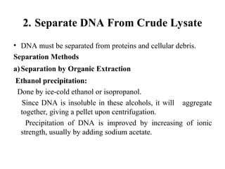 DNA Isolation Methodsand characteristics | PPT