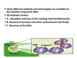 DNA Isolation Methodsand characteristics | PPT