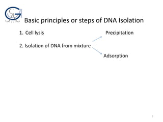 Basics of DNA isolation | PDF