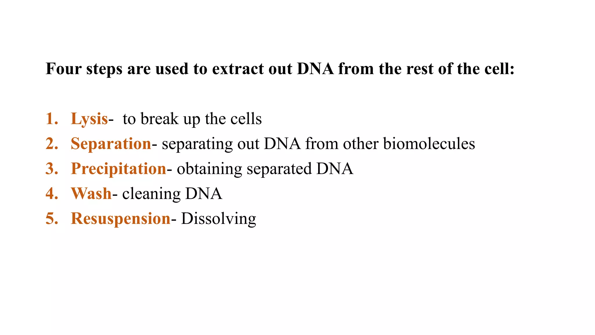DNA isolation the very basics.pptx