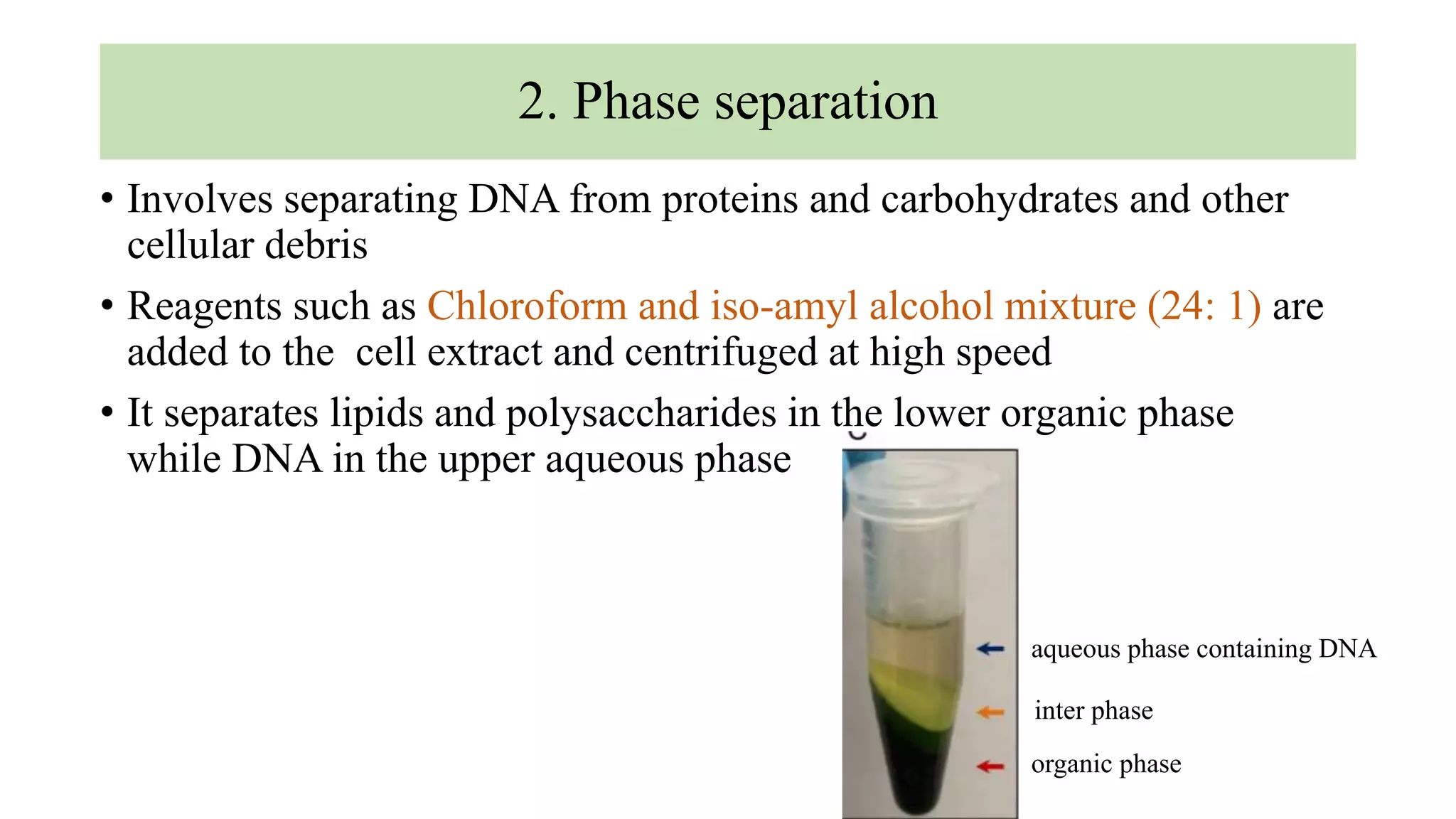 DNA isolation the very basics.pptx
