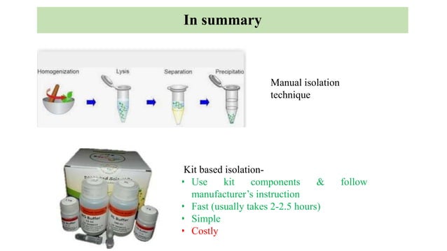 DNA isolation the very basics.pptx