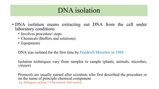 DNA isolation the very basics.pptx