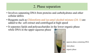 DNA isolation the very basics.pptx