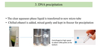 DNA isolation the very basics.pptx