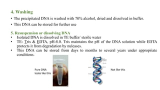 DNA isolation the very basics.pptx