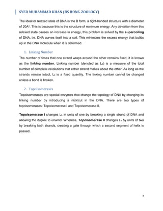 DNA & Its Topology | PDF