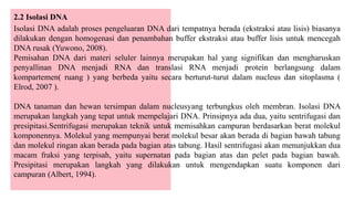 EKSTRAKSI DNA JERUK_ 5J/KEL 3.pptx