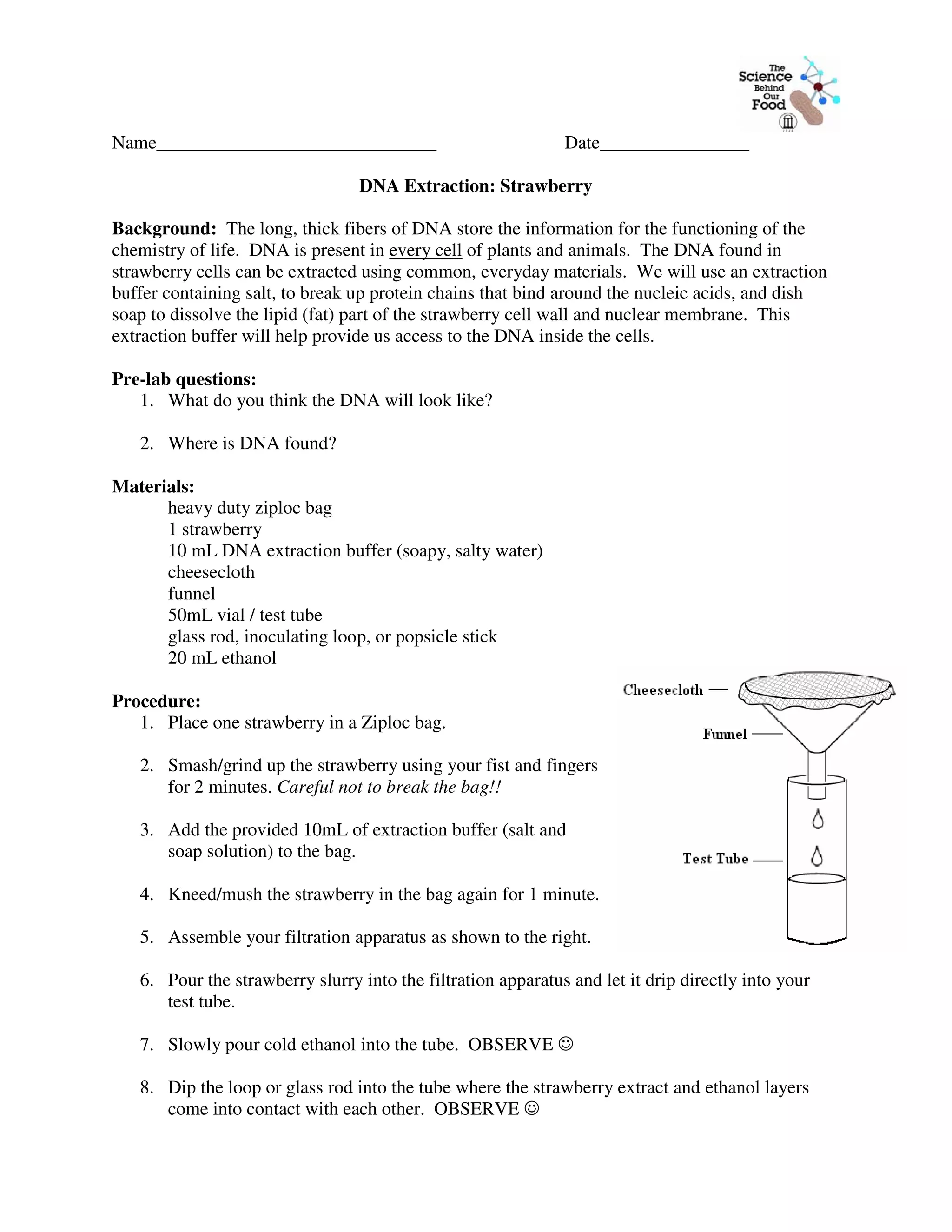 Dna lab strawberry from msmartin | PDF
